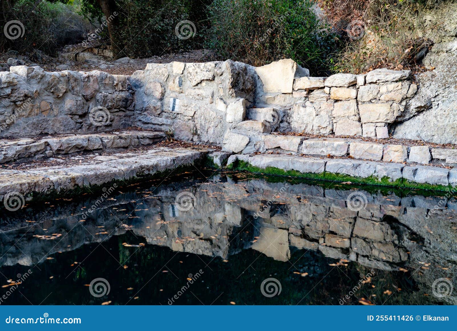 Reflection of a Ancient Wall in a Dark Pool Stock Photo - Image of pool ...