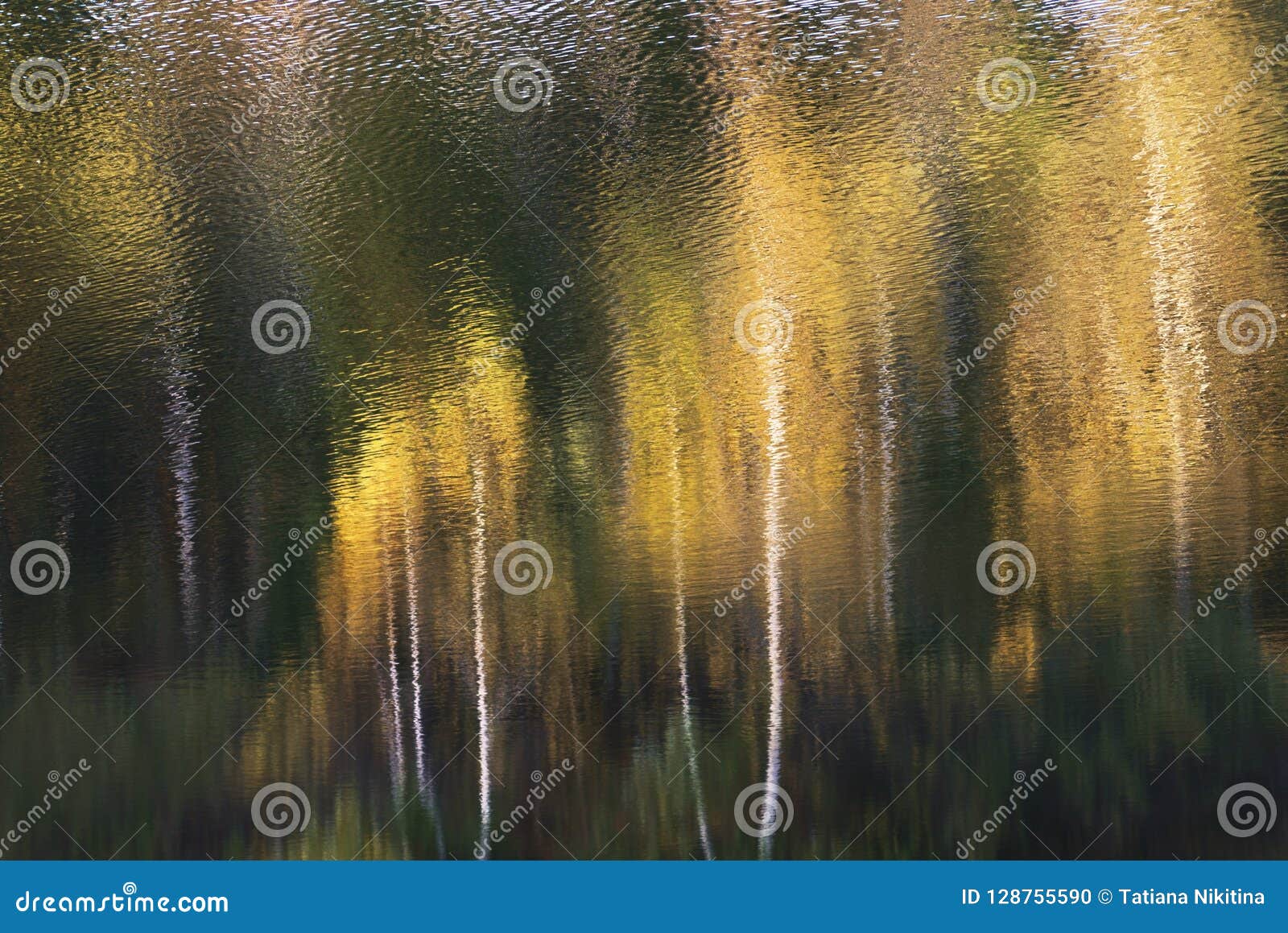 Reflection of Autumn Trees in a Lake Water. Autumn Background Stock ...