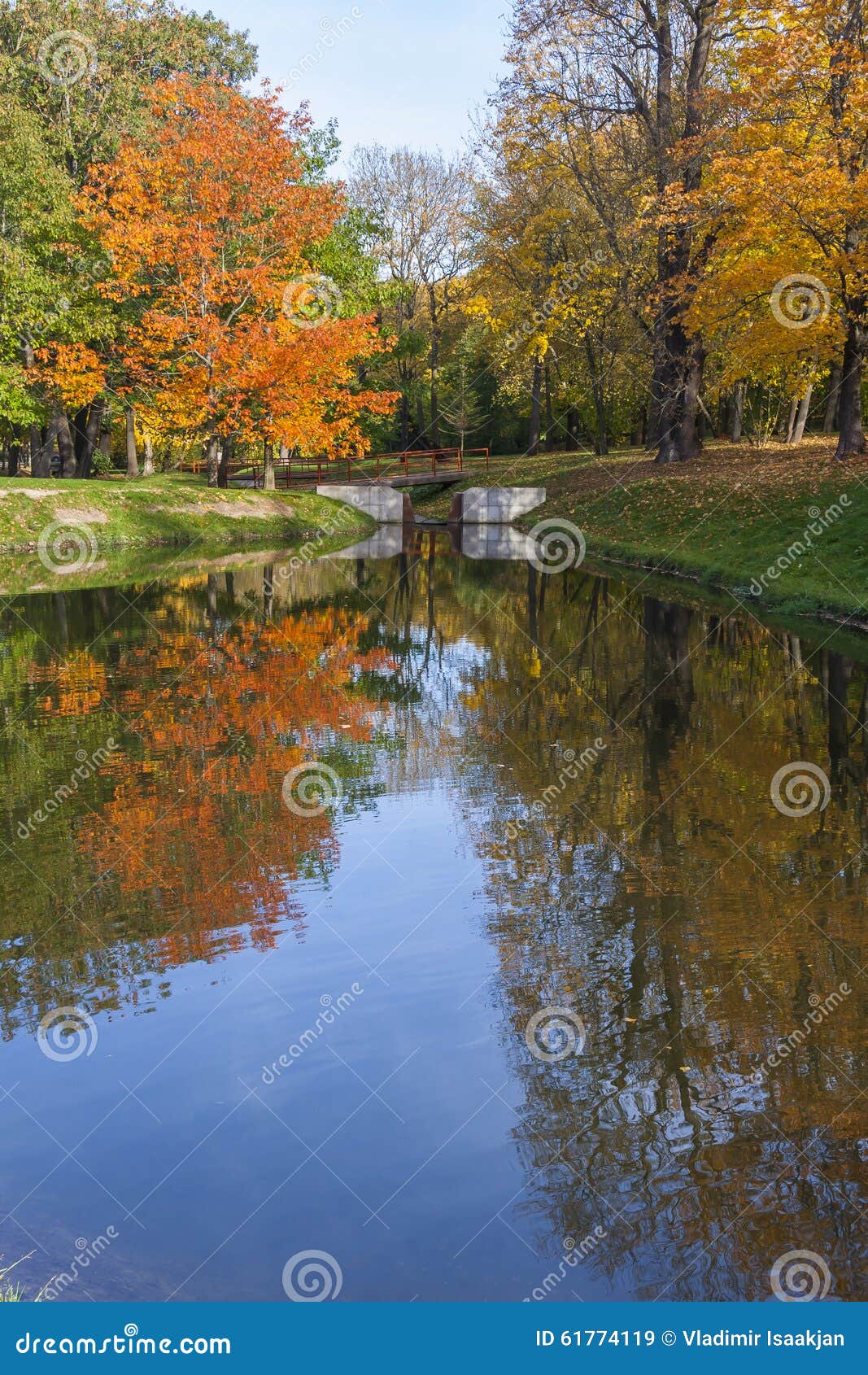 Reflection of Autumn Trees in Water Stock Image - Image of color, leaf ...