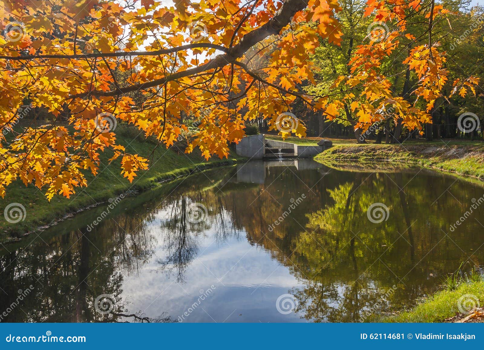 Reflection of Autumn Trees in Water Stock Image - Image of four, pond ...
