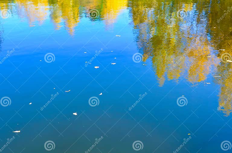 Reflection Autumn Trees in Water Stock Image - Image of environment ...