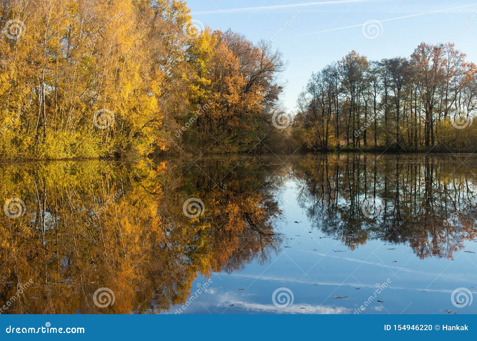Reflection of Autumn Trees in Water Stock Photo - Image of orange ...