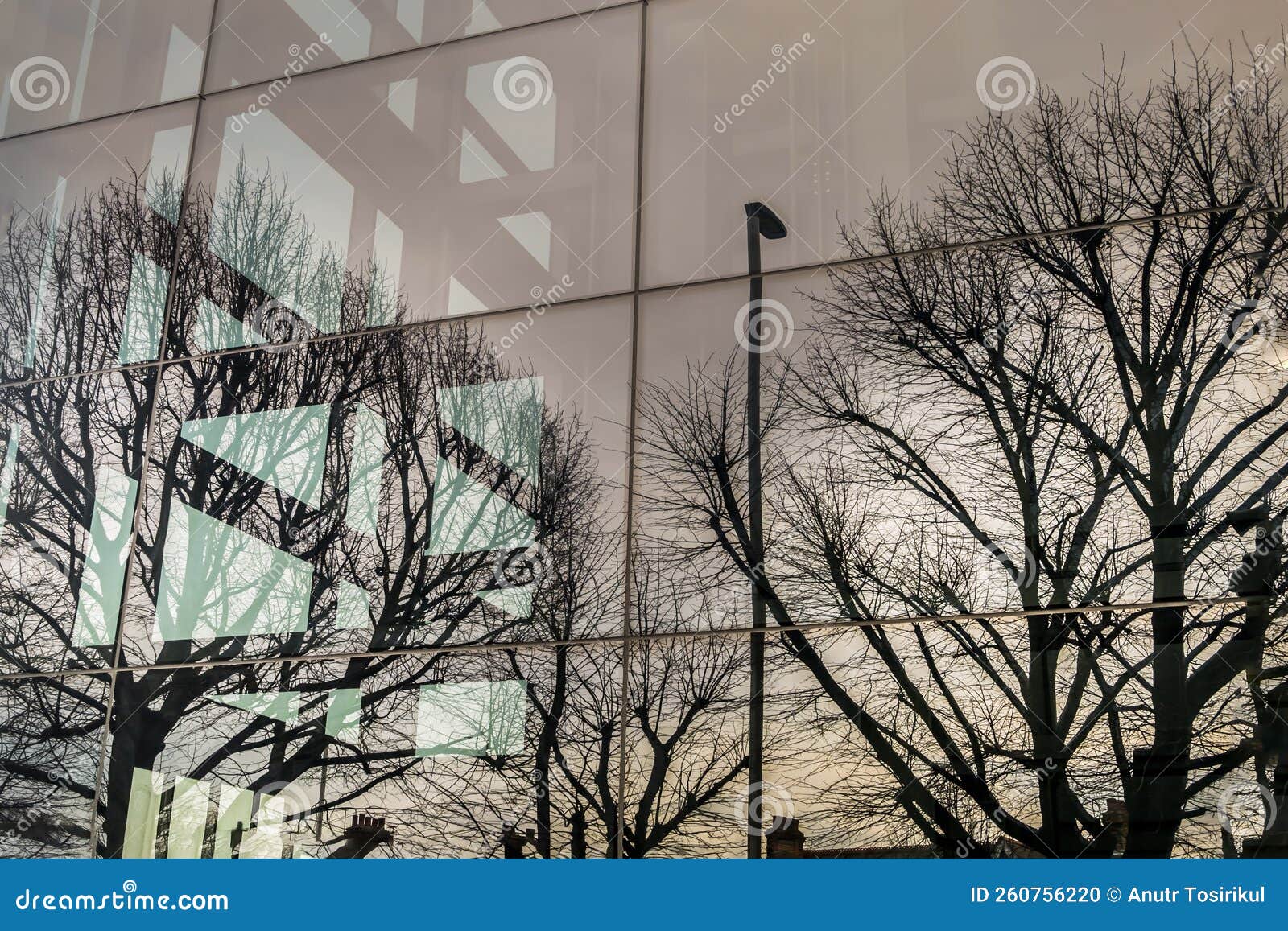 Reflection of Bare Tree Branches in the Windows of a Modern Building ...