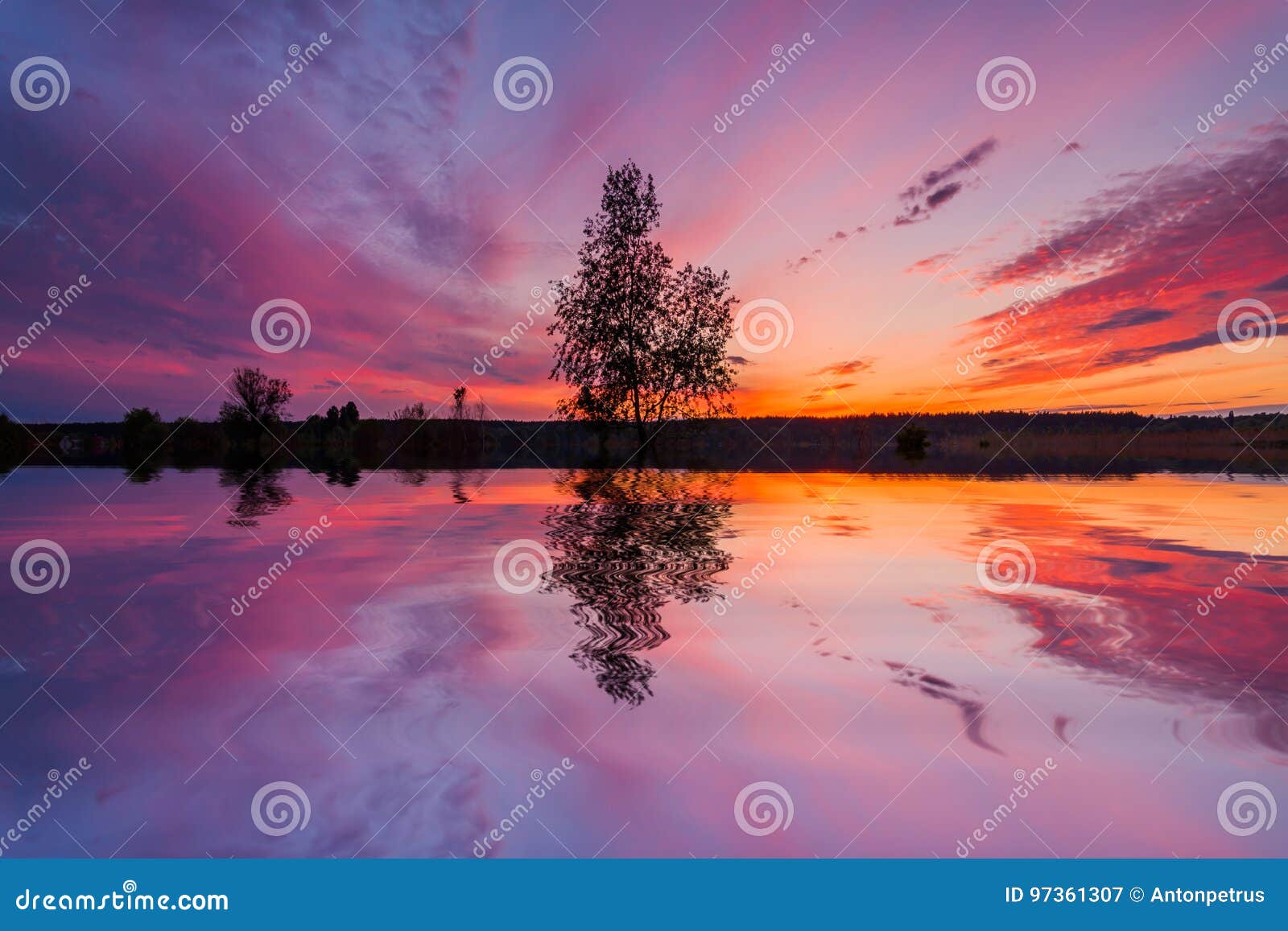 Reflection of a Beautiful Dawn Sky in a River Stock Image - Image of ...