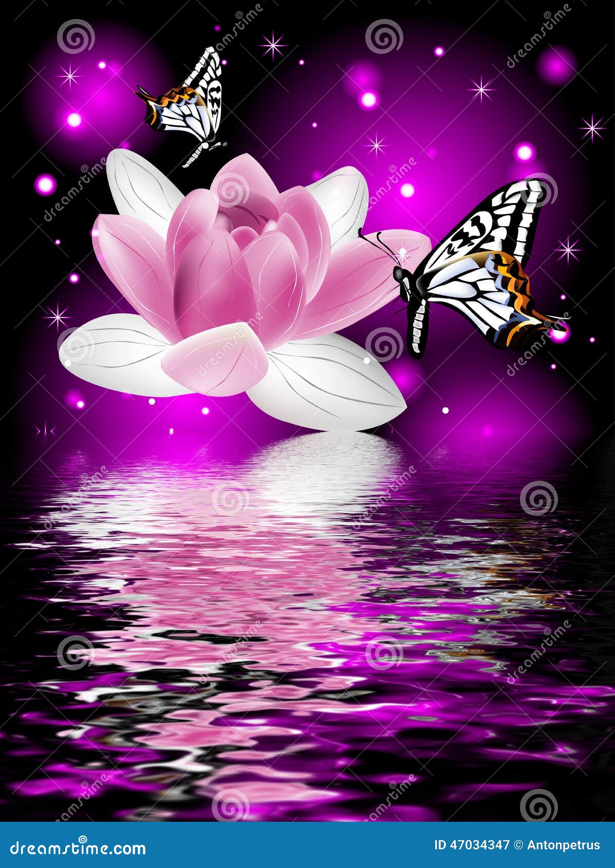 Reflection of a Beautiful Lotus Flower with Butterflies Stock ...
