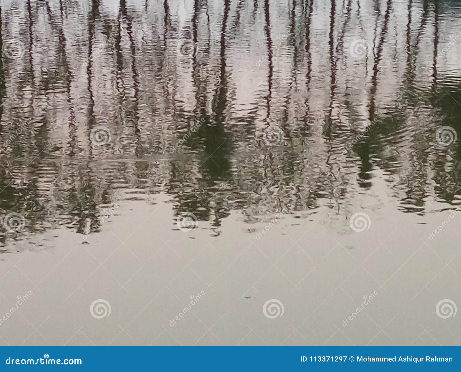 Reflection stock image. Image of beautiful, pond, reflection - 113371297