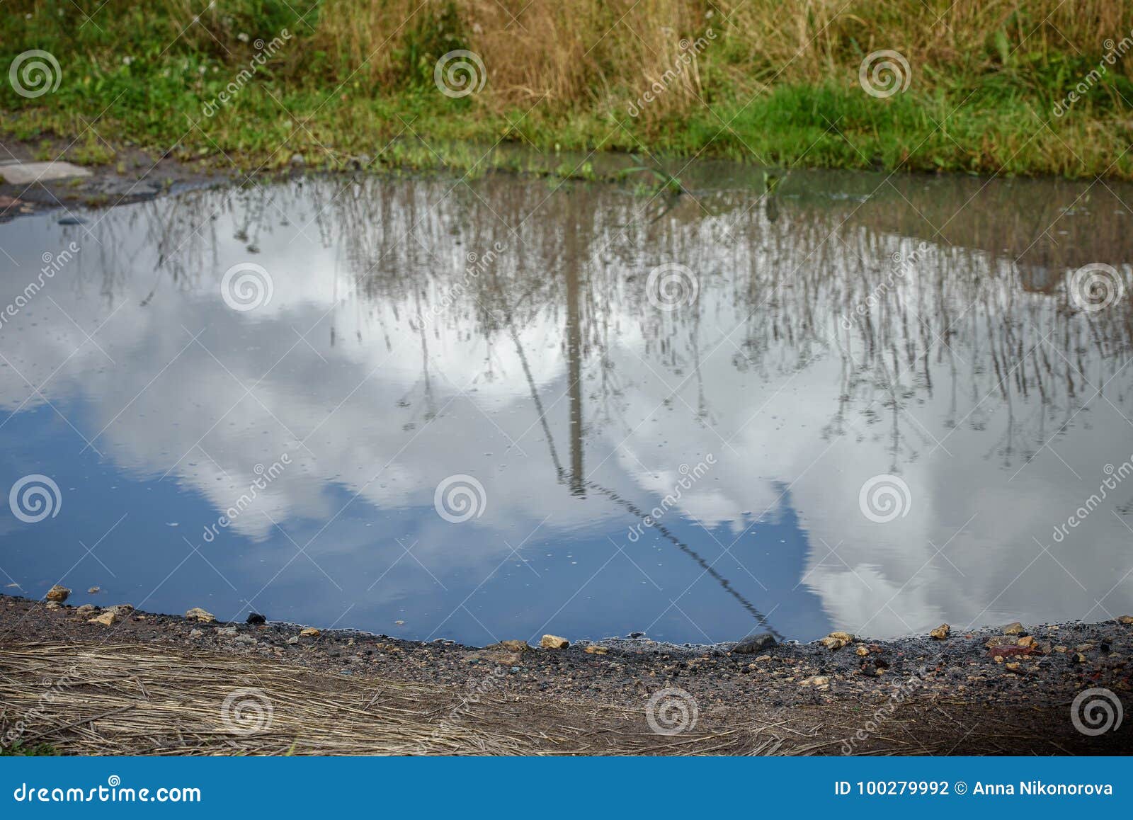 Reflection of the Blue Sky in a Rain Puddle Stock Photo - Image of cold ...
