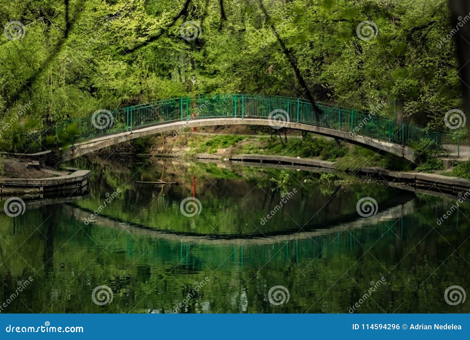Reflection of the Bridge in the Water Stock Photo - Image of color ...