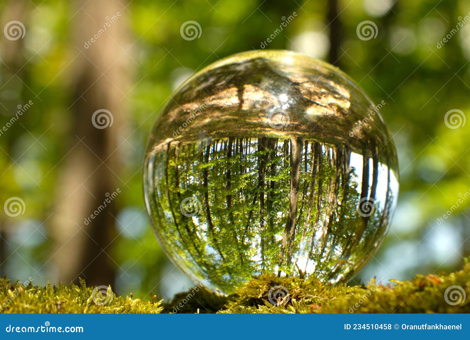 270 Lensball Flower Stock Photos - Free & Royalty-Free Stock Photos ...