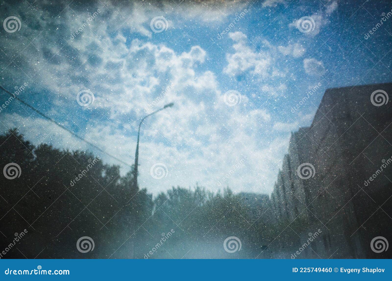 Reflection of a Building in a Puddle and a Flying Bird Stock Photo ...