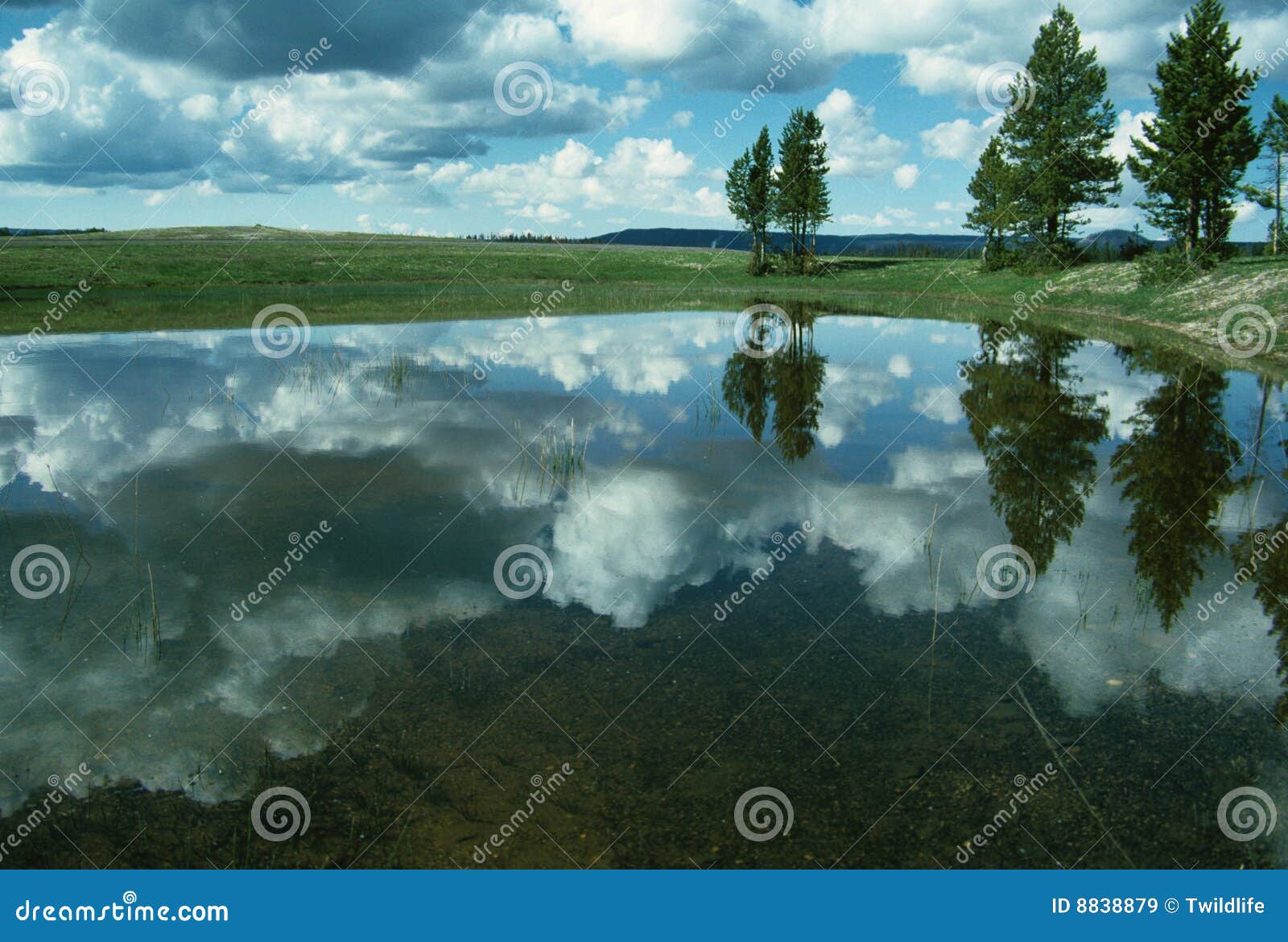 Reflection on Calm Lake stock image. Image of trees, lake - 8838879