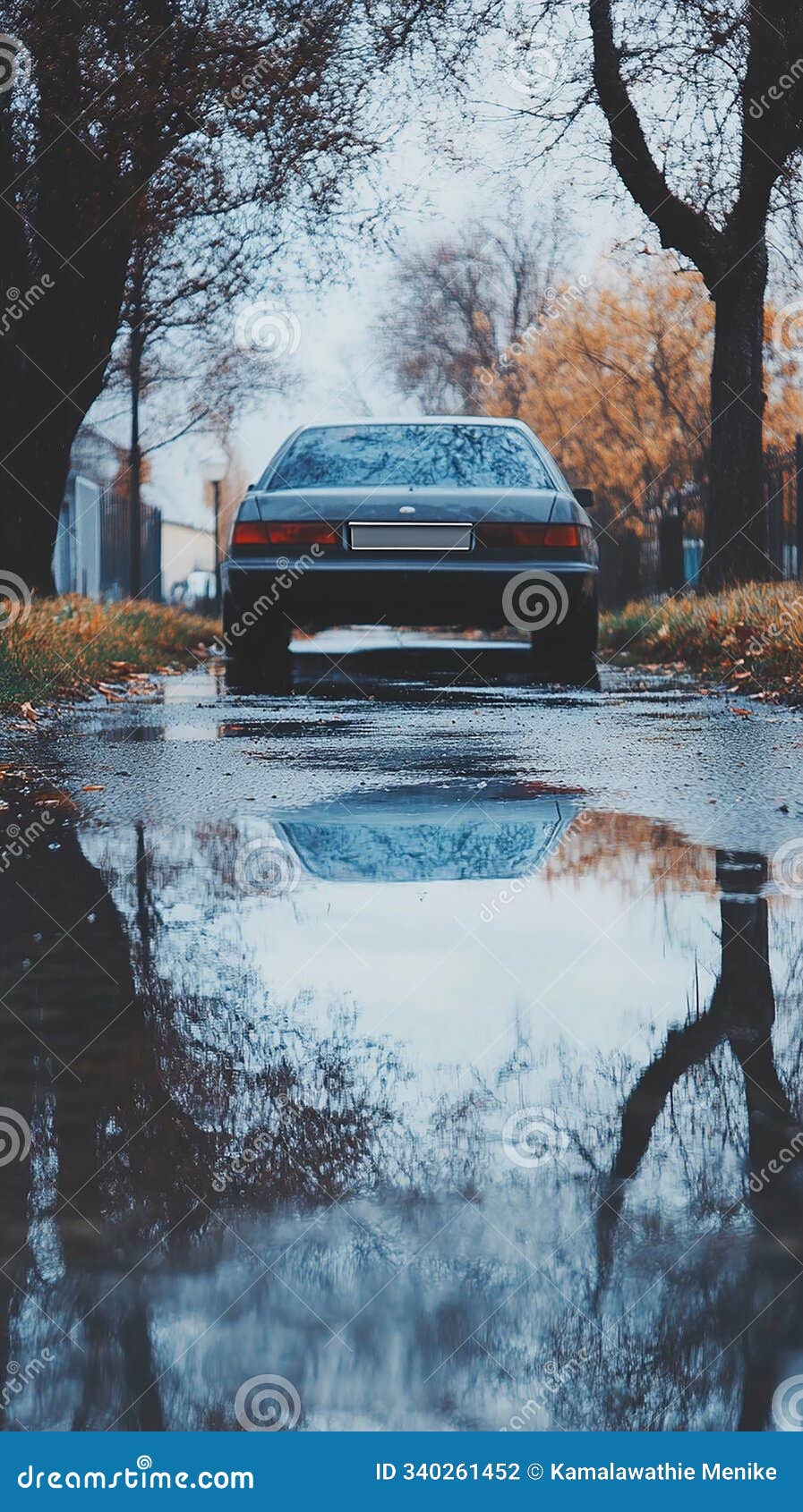 Reflection of a Car in a Puddle after Rain Stock Illustration ...