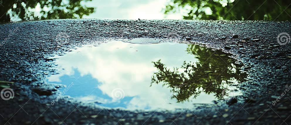 Reflection of a Car in a Puddle after Rain Stock Illustration - Illustration of dynamic ...