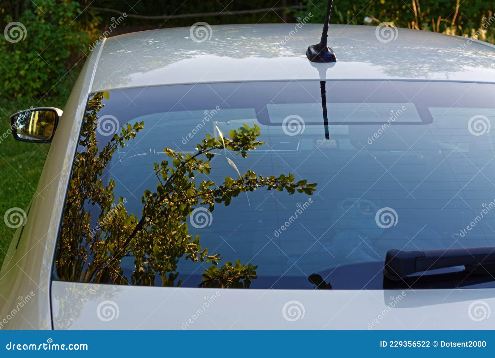 Reflection in the Car Window Stock Photo - Image of mirror, horizontal ...