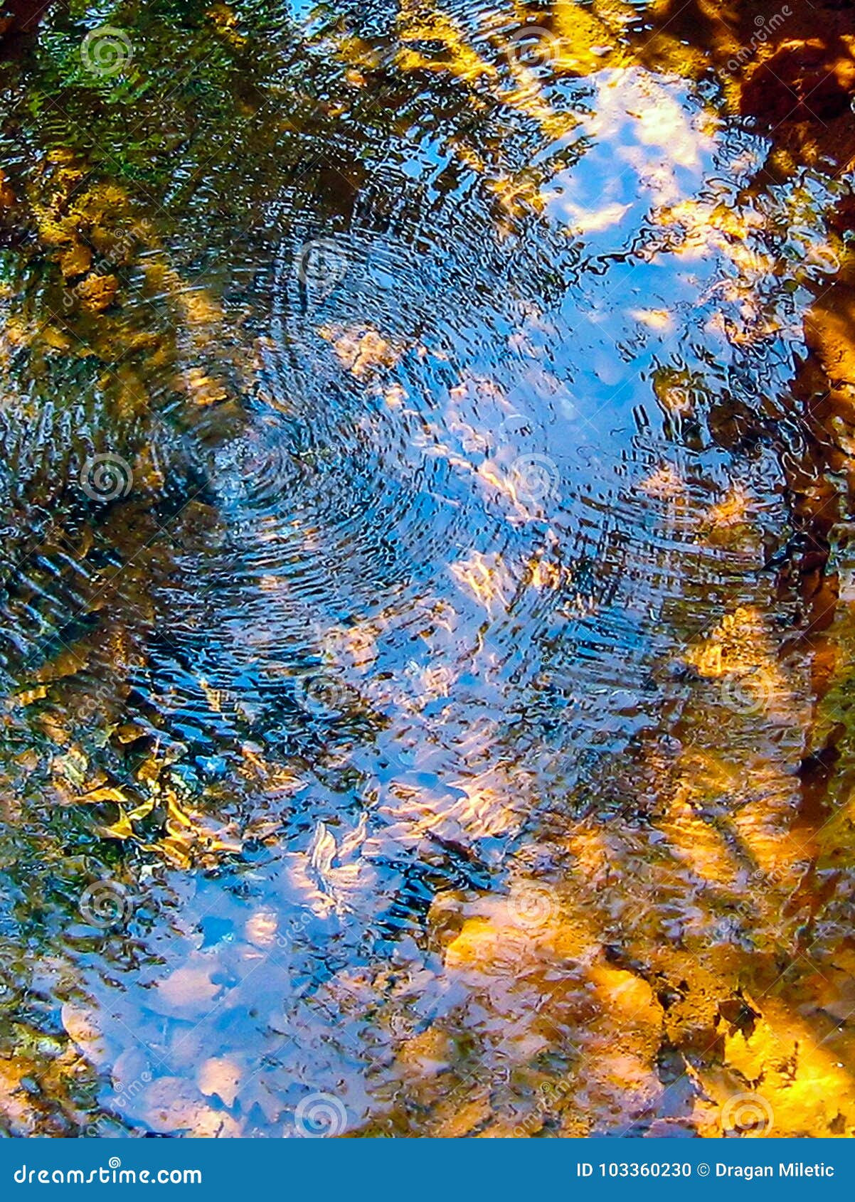 Reflection and Circle Waves Stock Photo - Image of close, environment ...