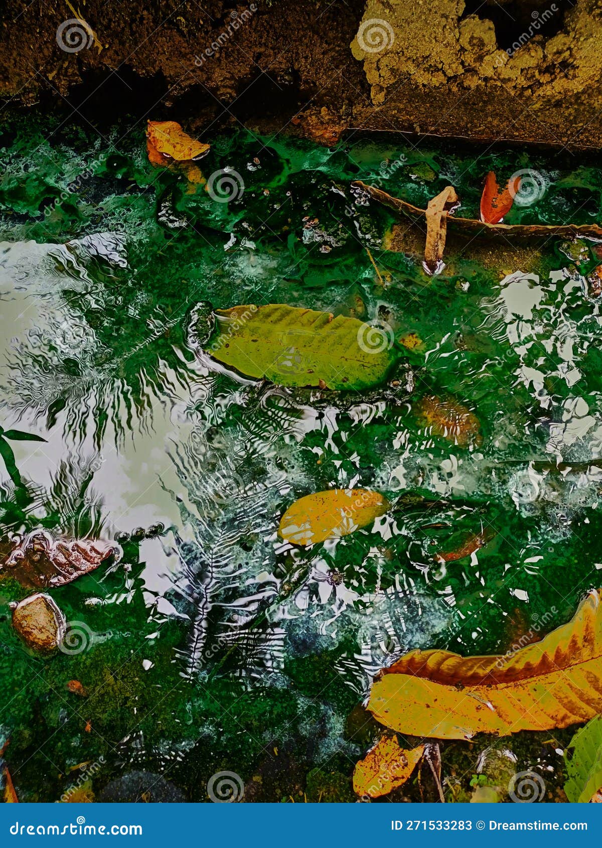 Reflection of a Clear Puddle Stock Image - Image of clear, black: 271533283