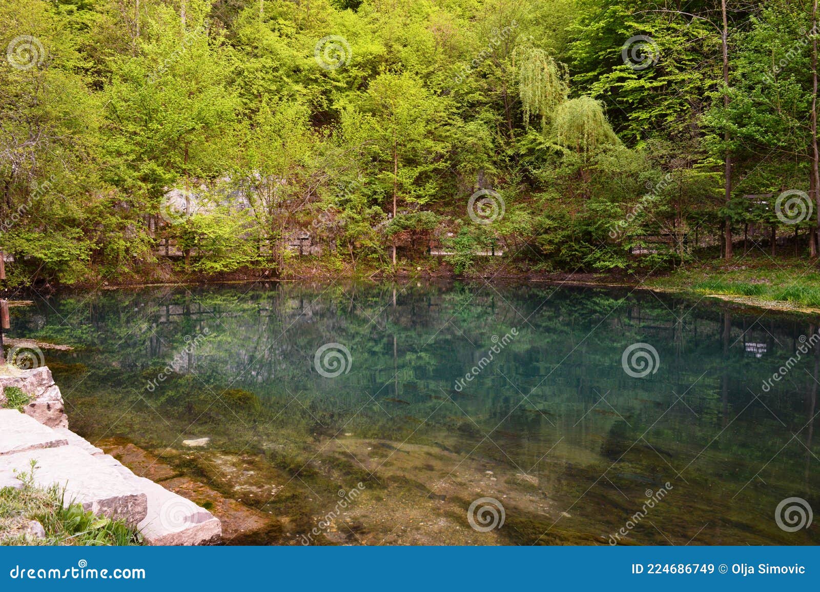 Reflection in a Clear River Stock Image - Image of clear, details ...