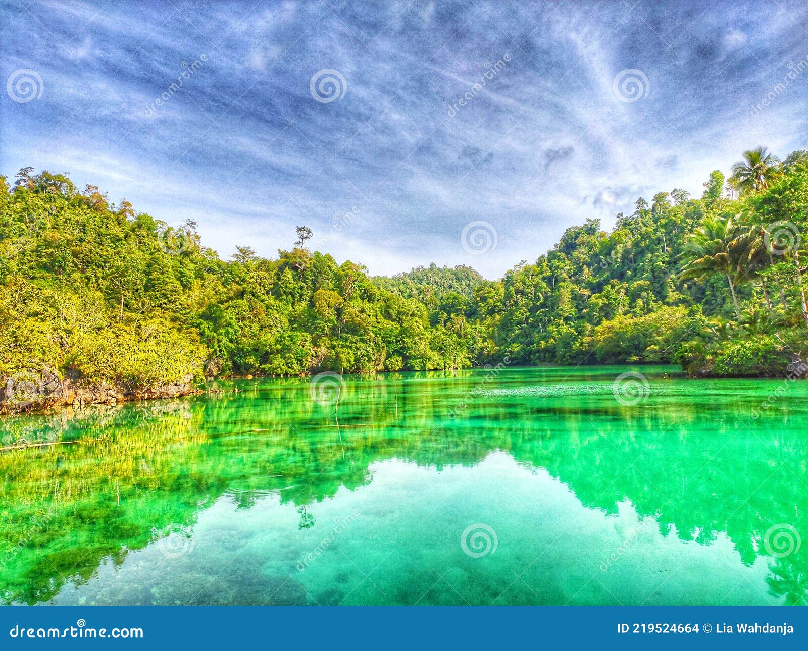 Reflection in the Clear Water. Stock Photo - Image of grass, clearsea ...