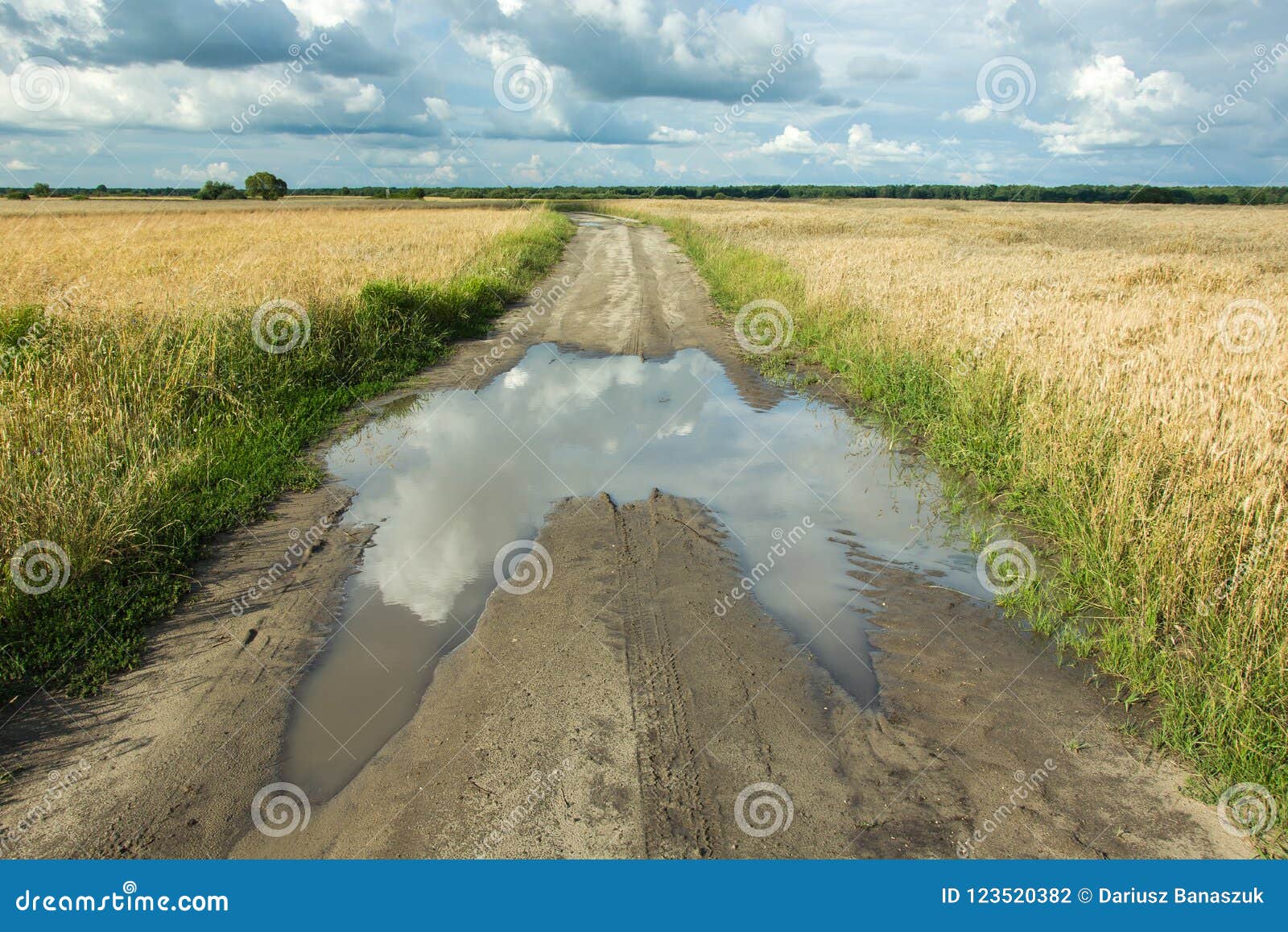 Reflection of Clouds in a Puddle on Dirt Road through Fields Stock ...