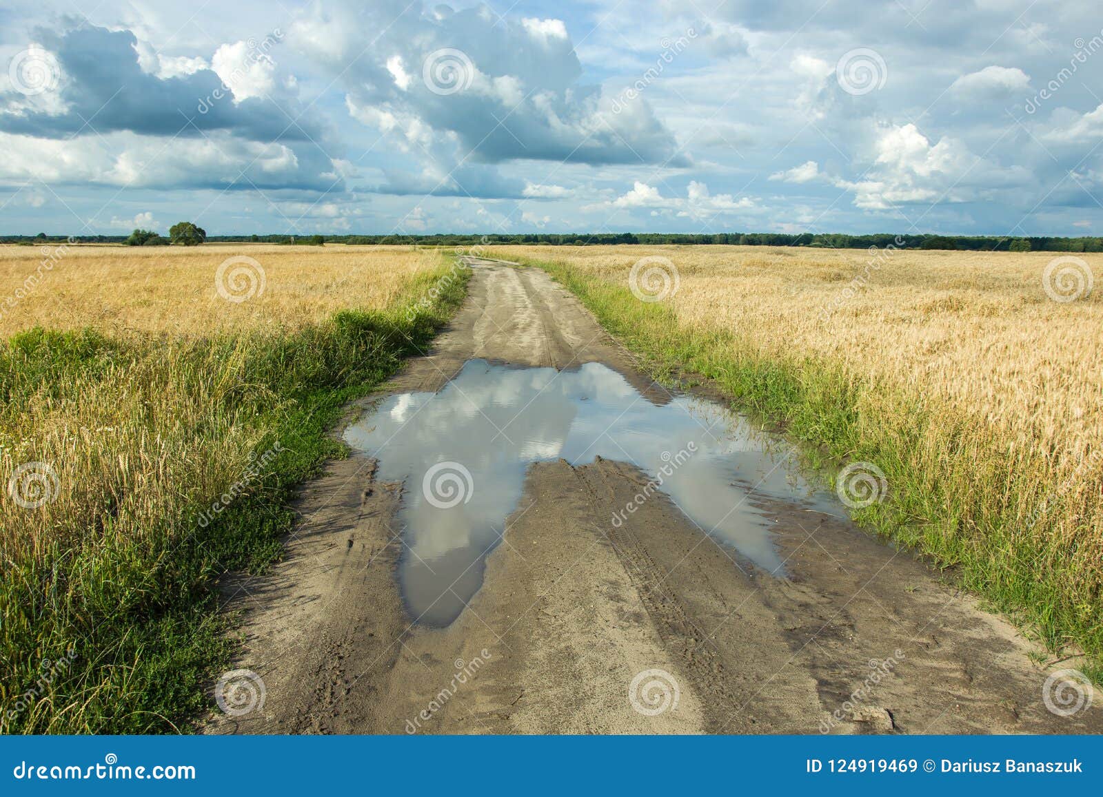 Reflection of Clouds in a Puddle on a Dirt Road Stock Image - Image of ...