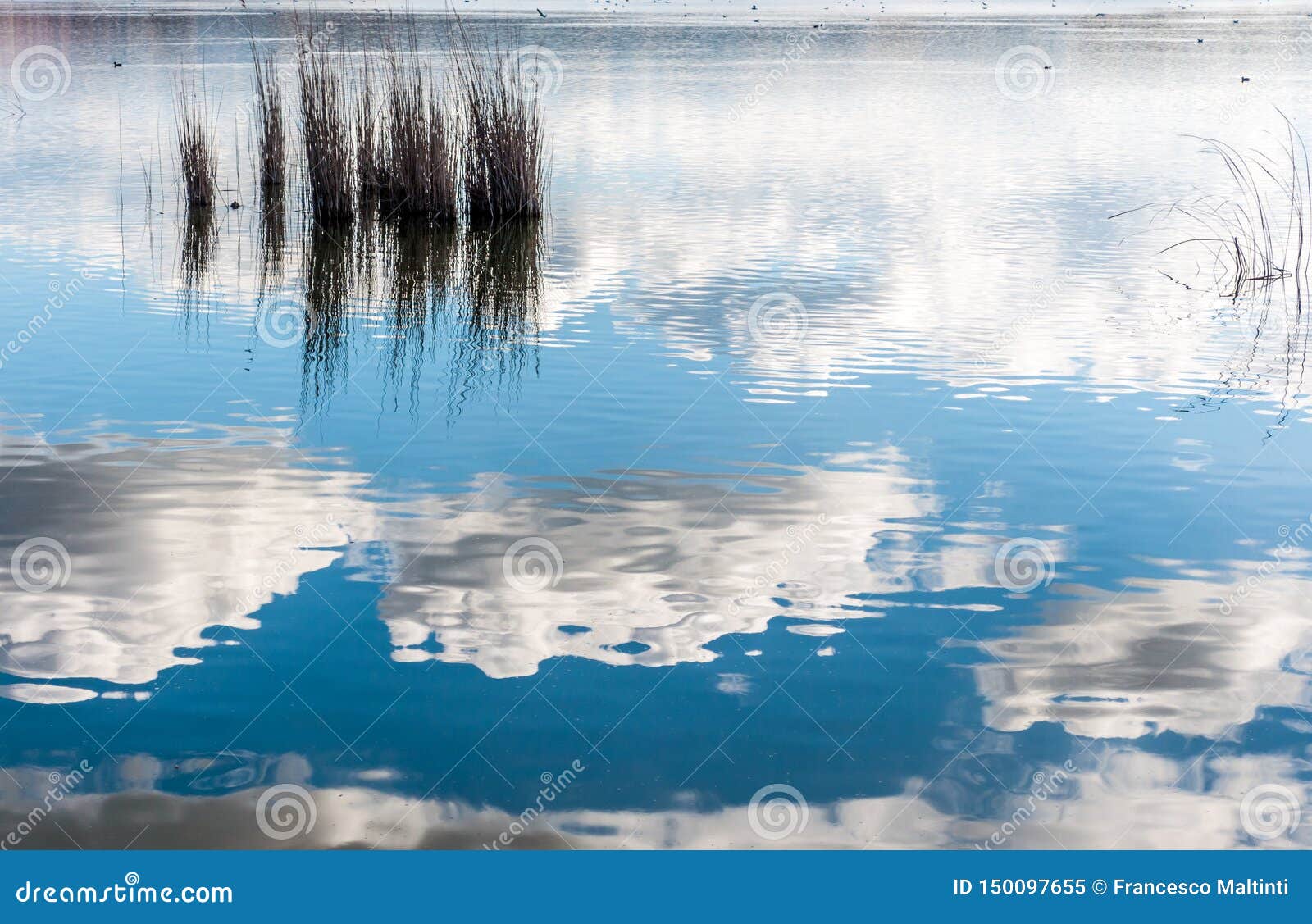 Reflection of Clouds on the Water Stock Image - Image of morning ...