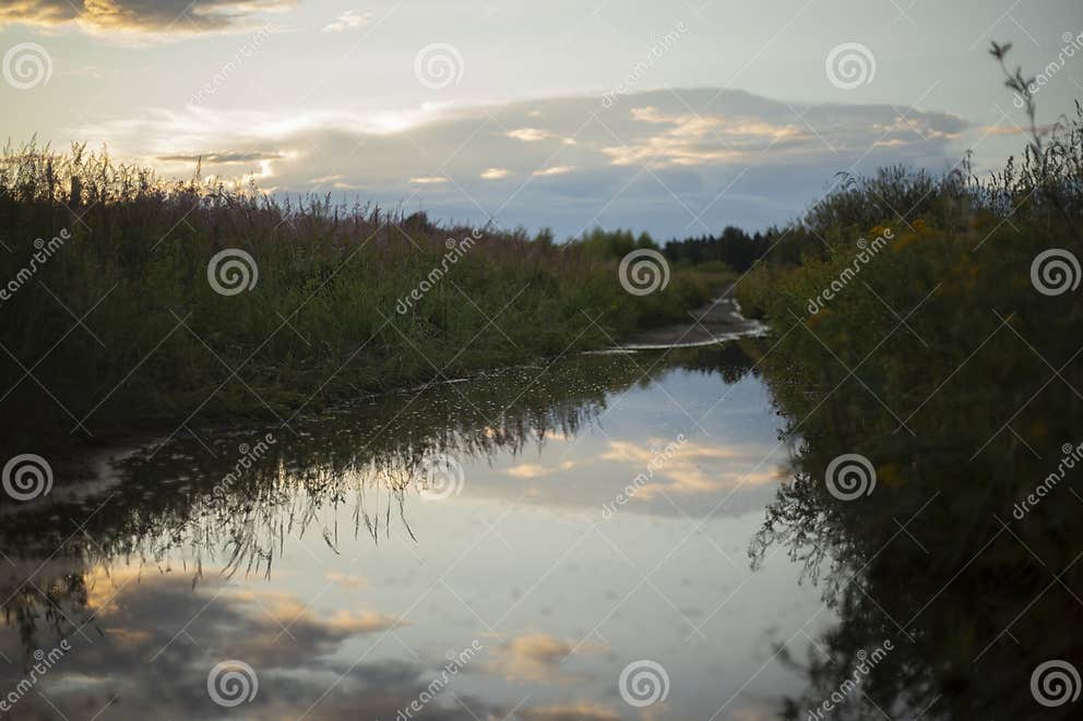 Reflection of Clouds in Water. Mirror Puddle. Reflection of the Sky in ...