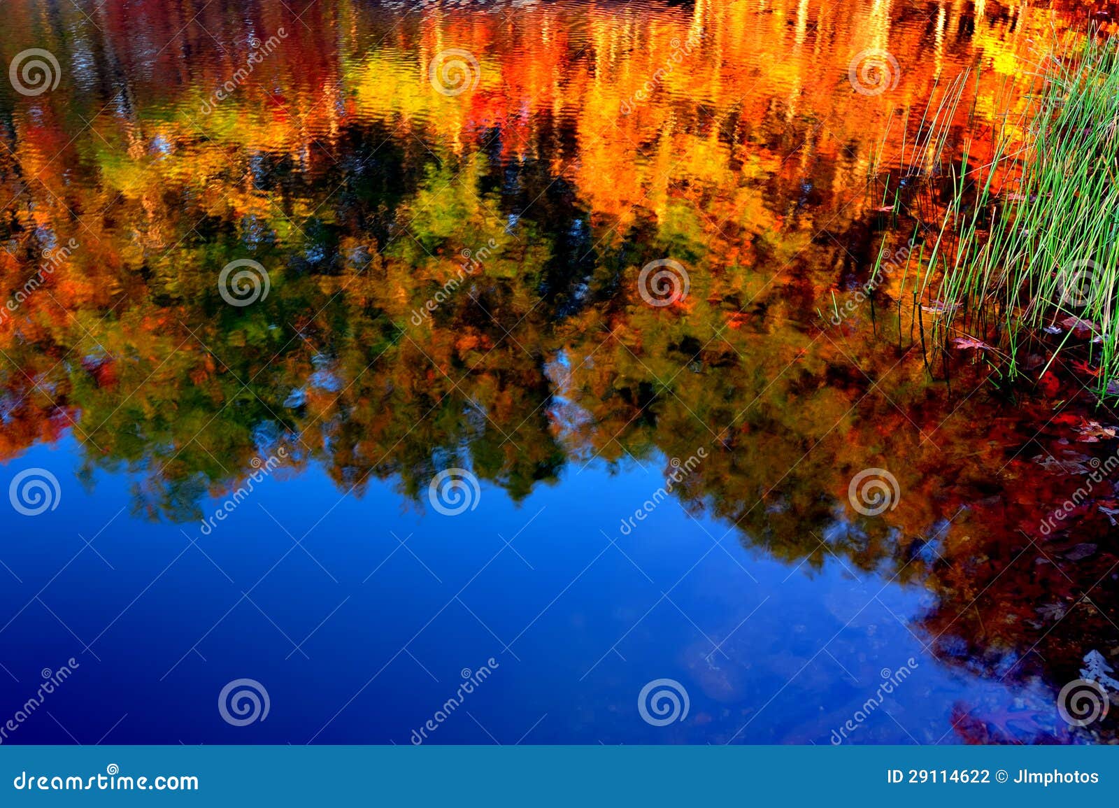 Reflection of Colorful Autumn Trees in Calm Lake Stock Photo - Image of ...
