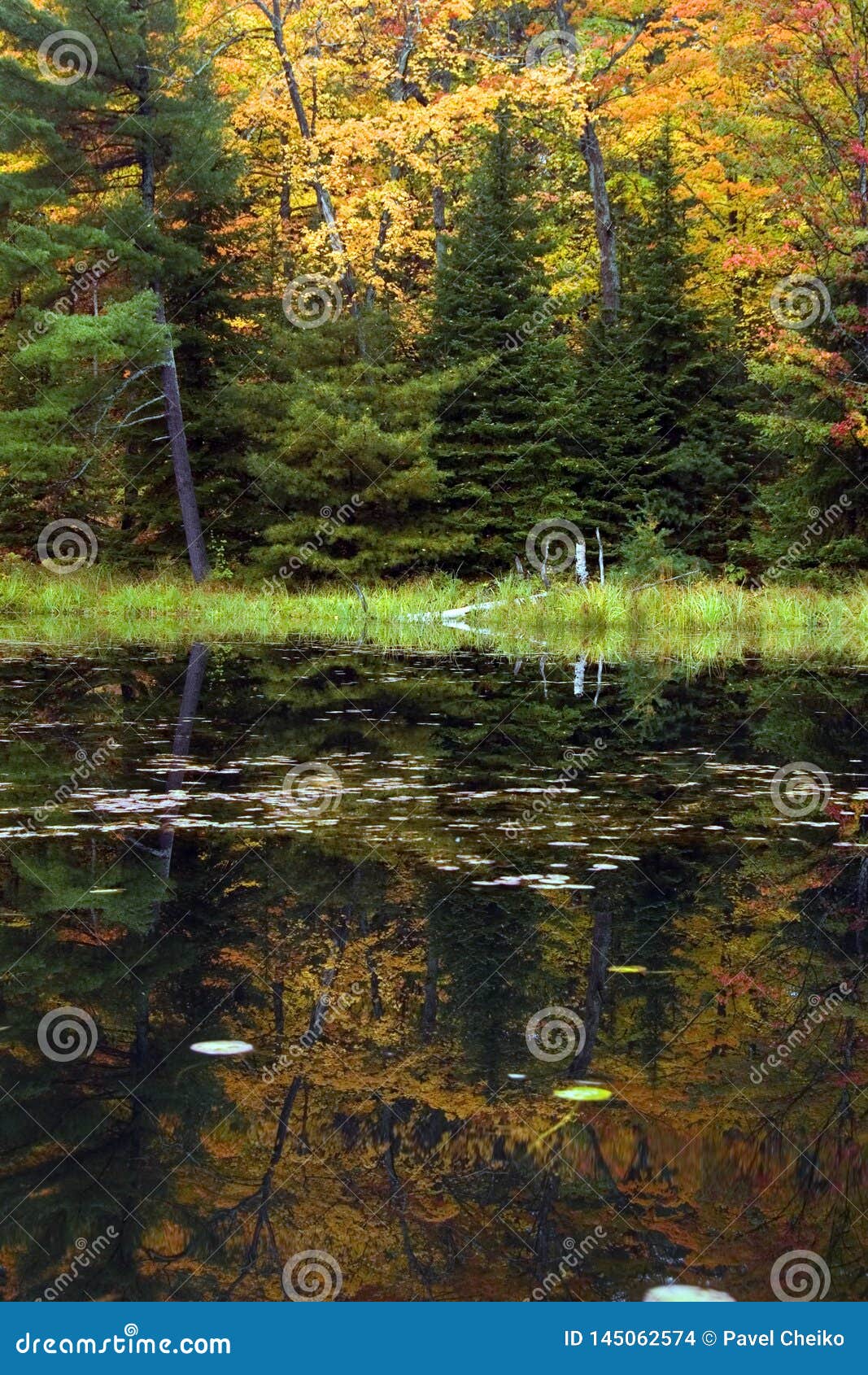 Reflection stock photo. Image of colorful, autumn, october - 145062574
