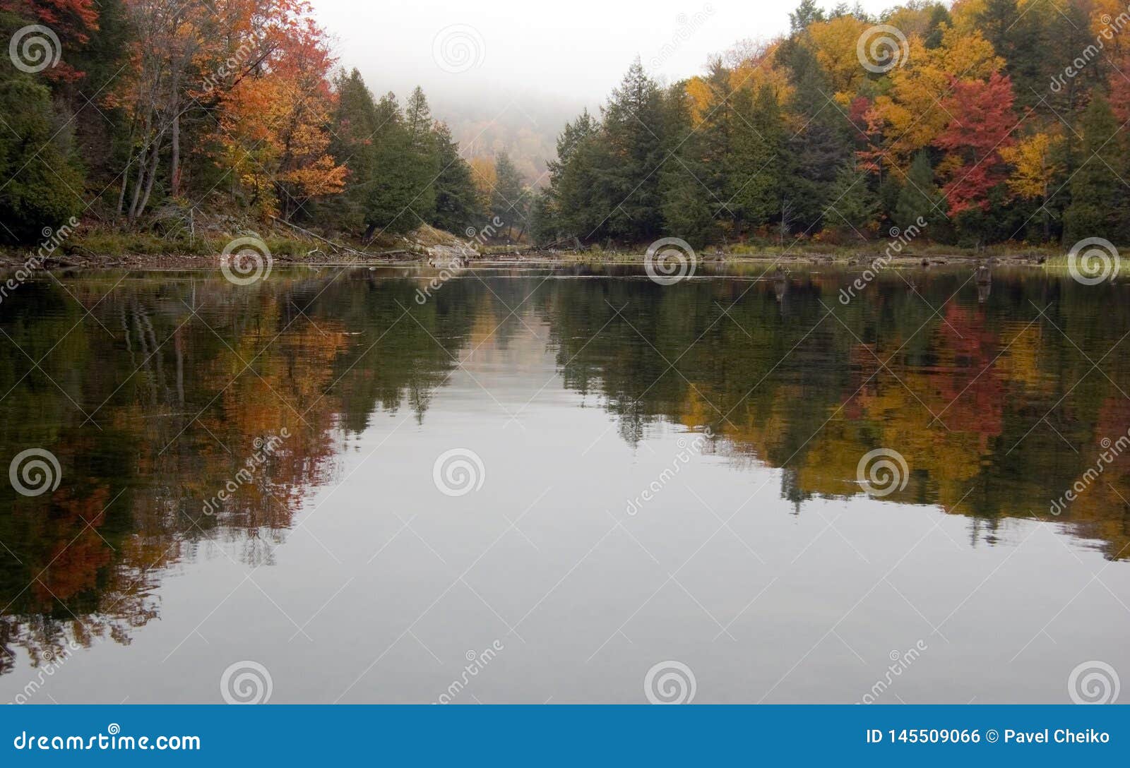 Reflection of Colorful Forest Stock Photo - Image of calm, mountain ...