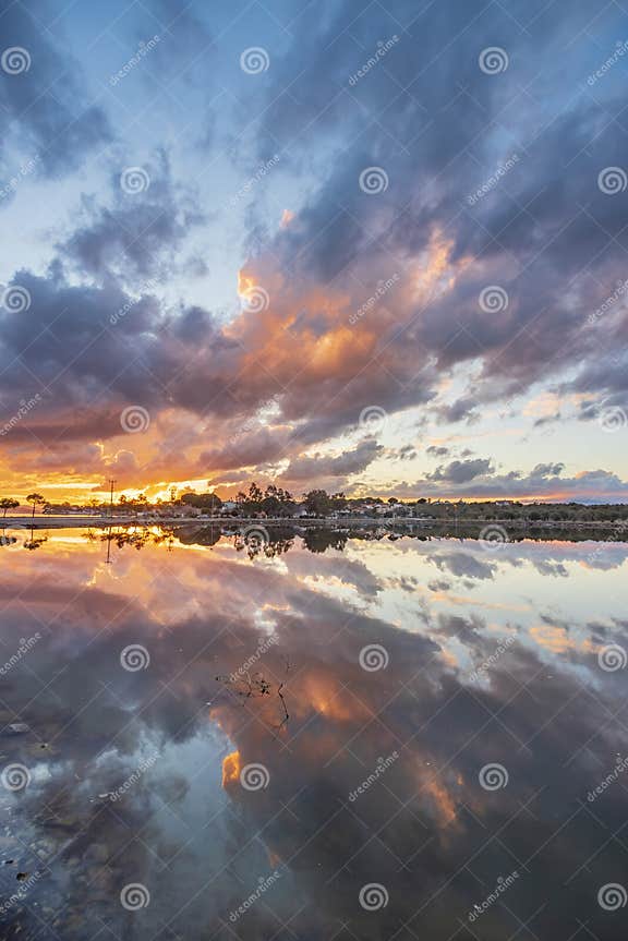 Sunset with Trees and Reflection Stock Photo - Image of light, quiet ...