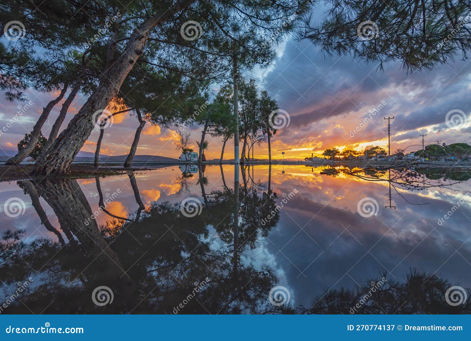 Sunset with Trees and Reflection Stock Image - Image of sunrise, wooden ...