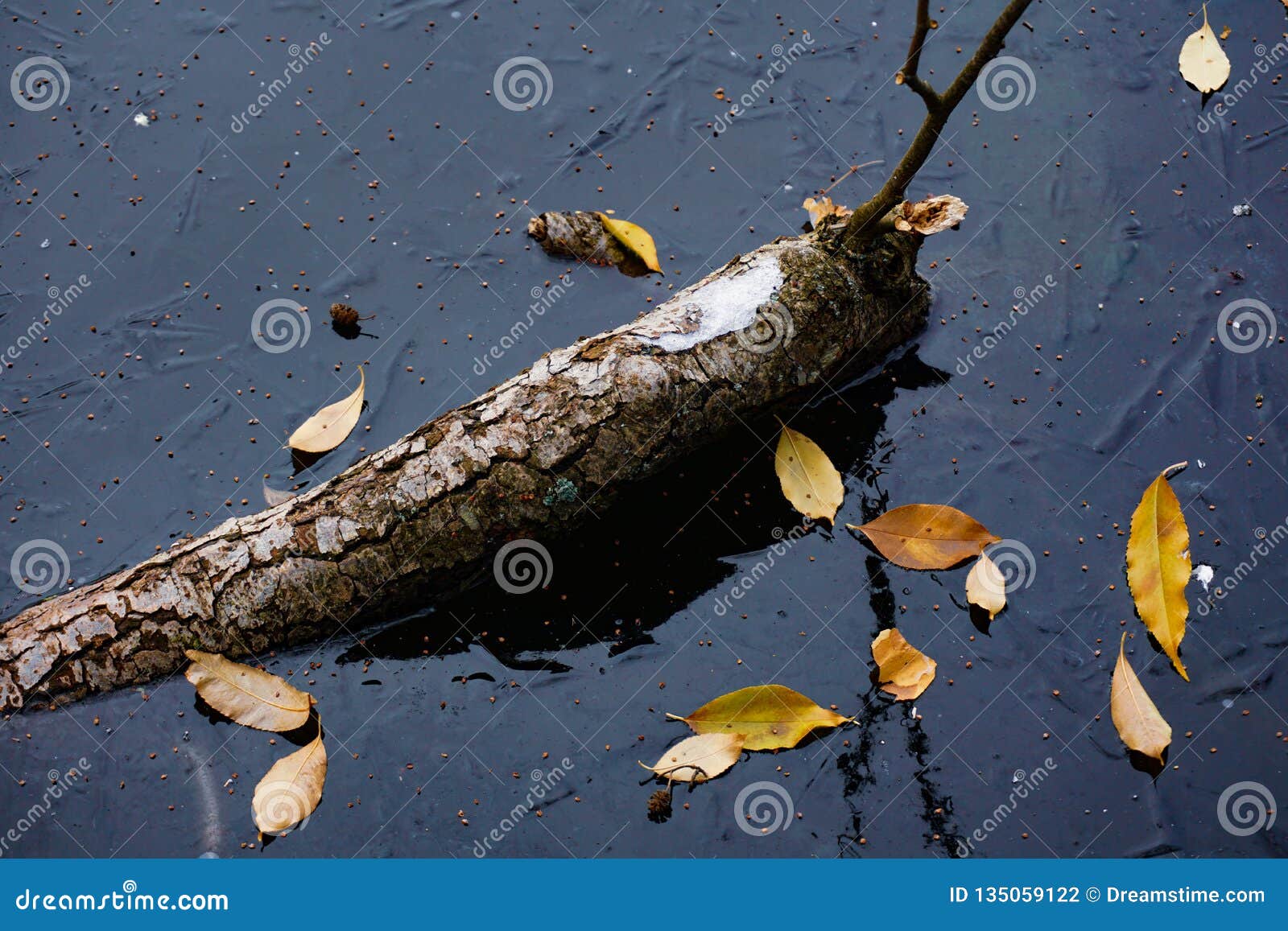 Reflection of a Curved Stick in the Blue Ice Surface Stock Photo ...