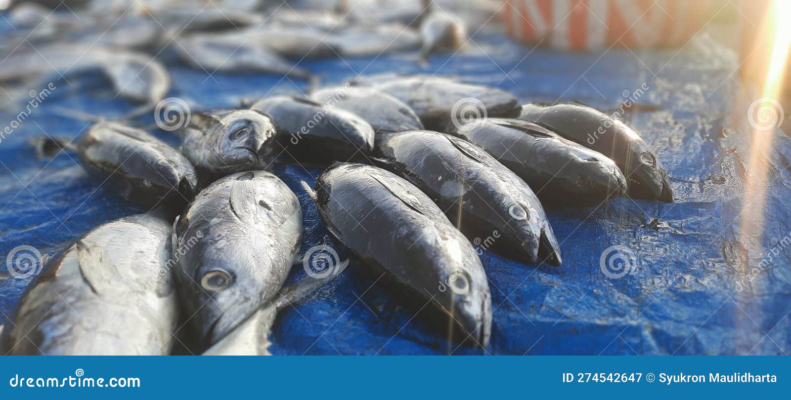 Reflection Effect of Sunlight through the Camera Lens Stock Image ...