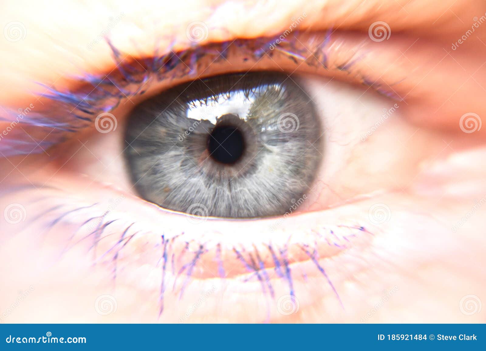 Reflection in an eye stock photo. Image of close, iris - 185921484
