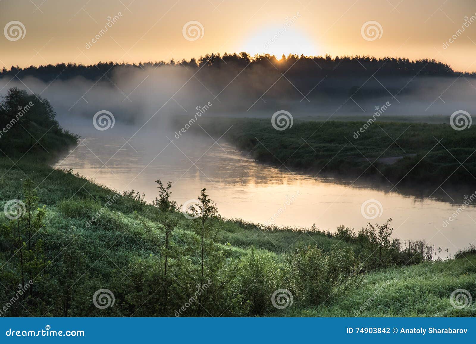 Reflection of the First Rays of the Sun in a Misty Forest River Stock ...