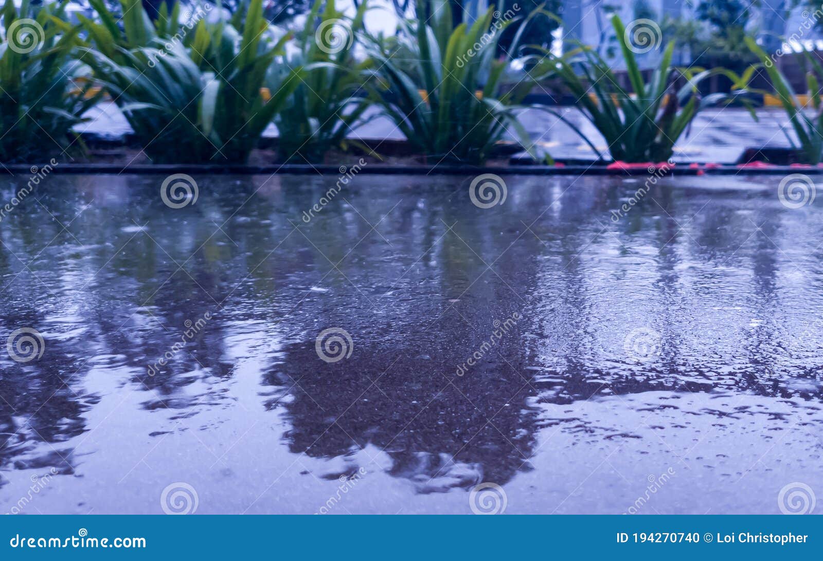 Reflection on Floor during Rainy Day Stock Photo - Image of rainy ...