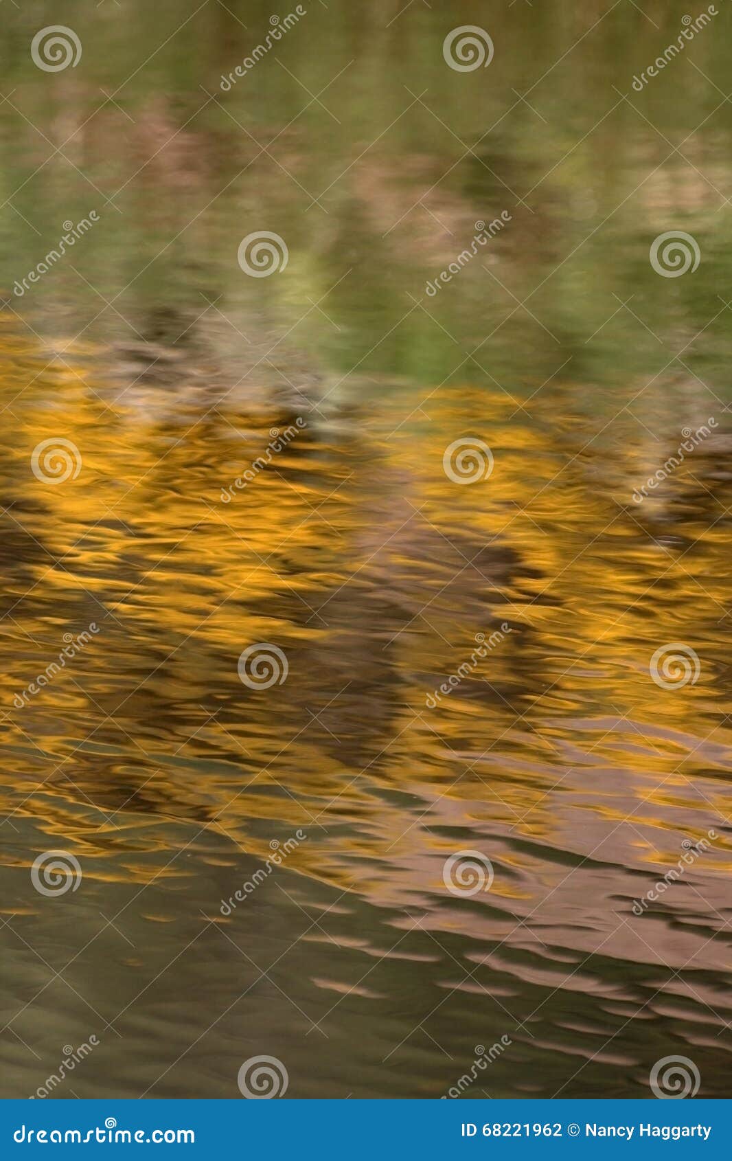Reflection of Flowers in Water Stock Photo - Image of reflections, lake ...