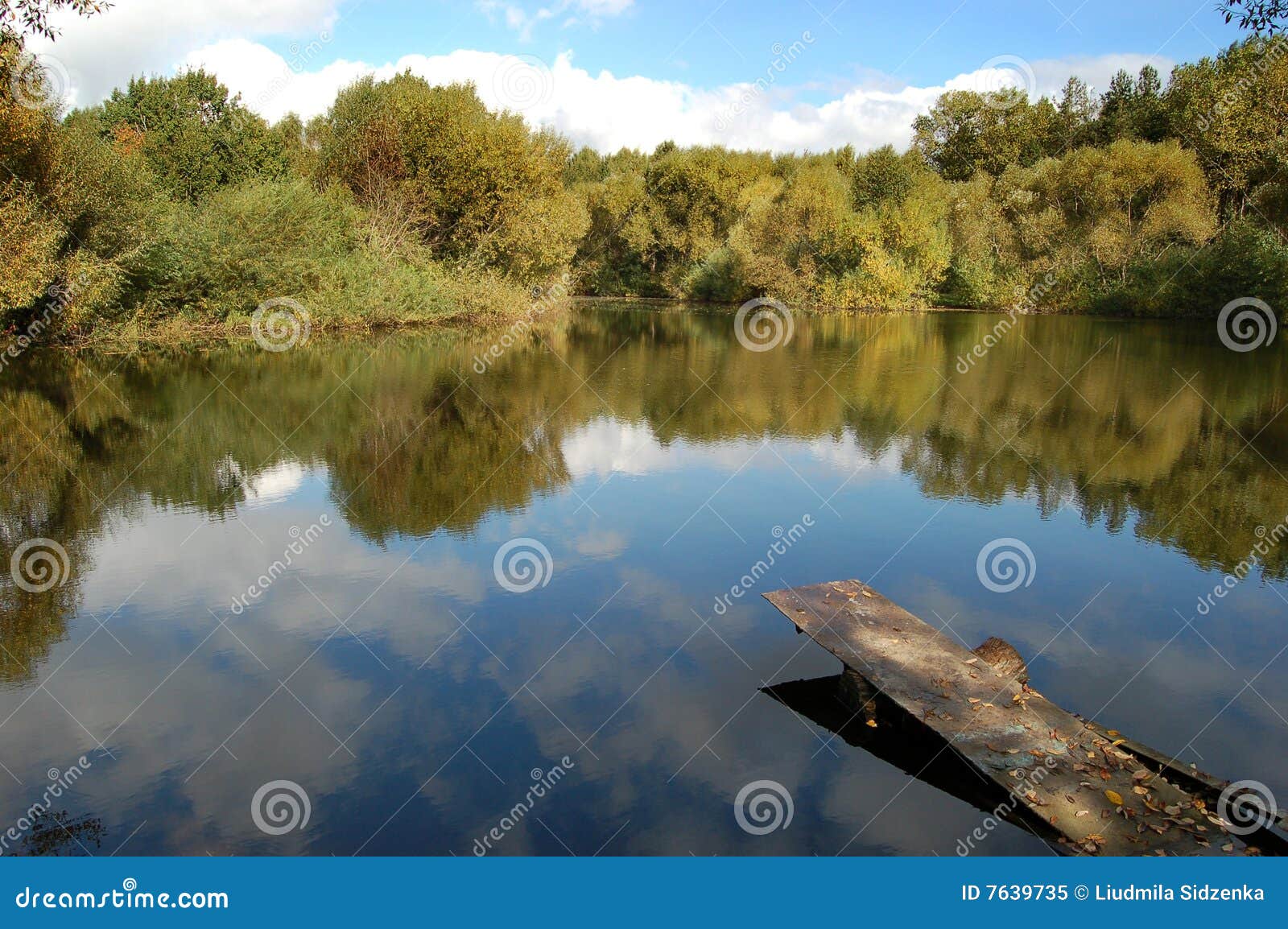 Reflection of the forest stock image. Image of board, green - 7639735