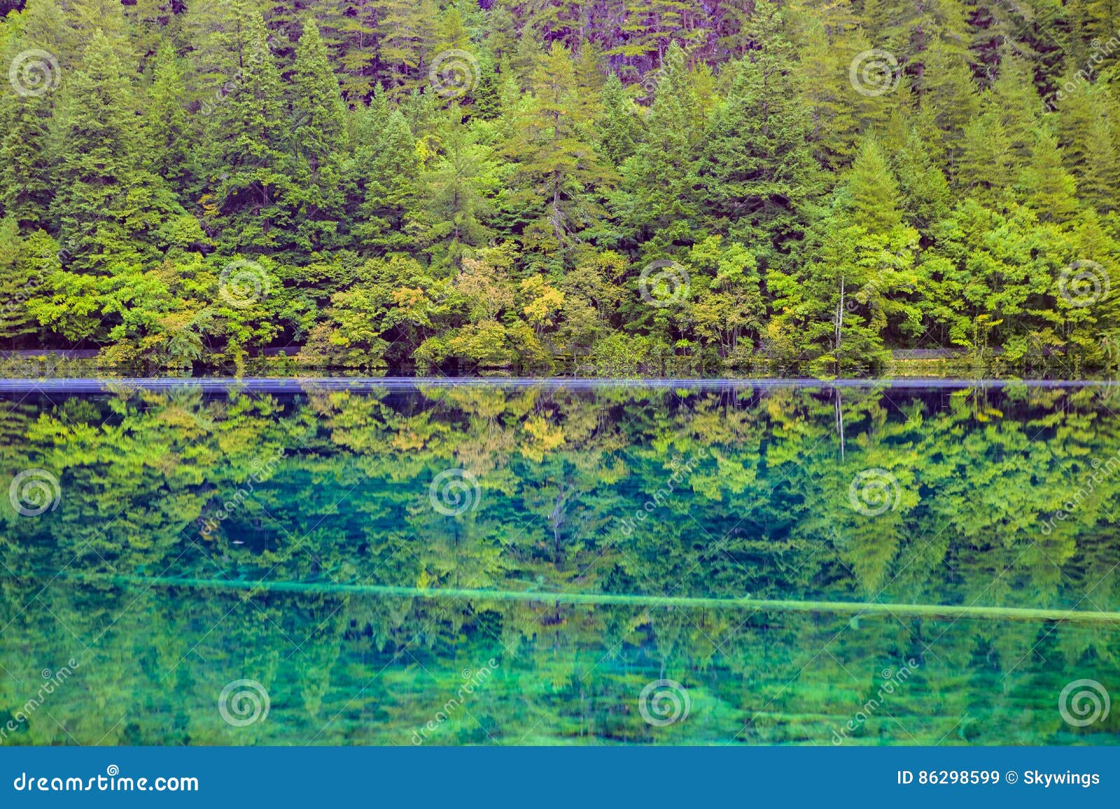 The Reflection of the Forest Stock Image - Image of minerals ...