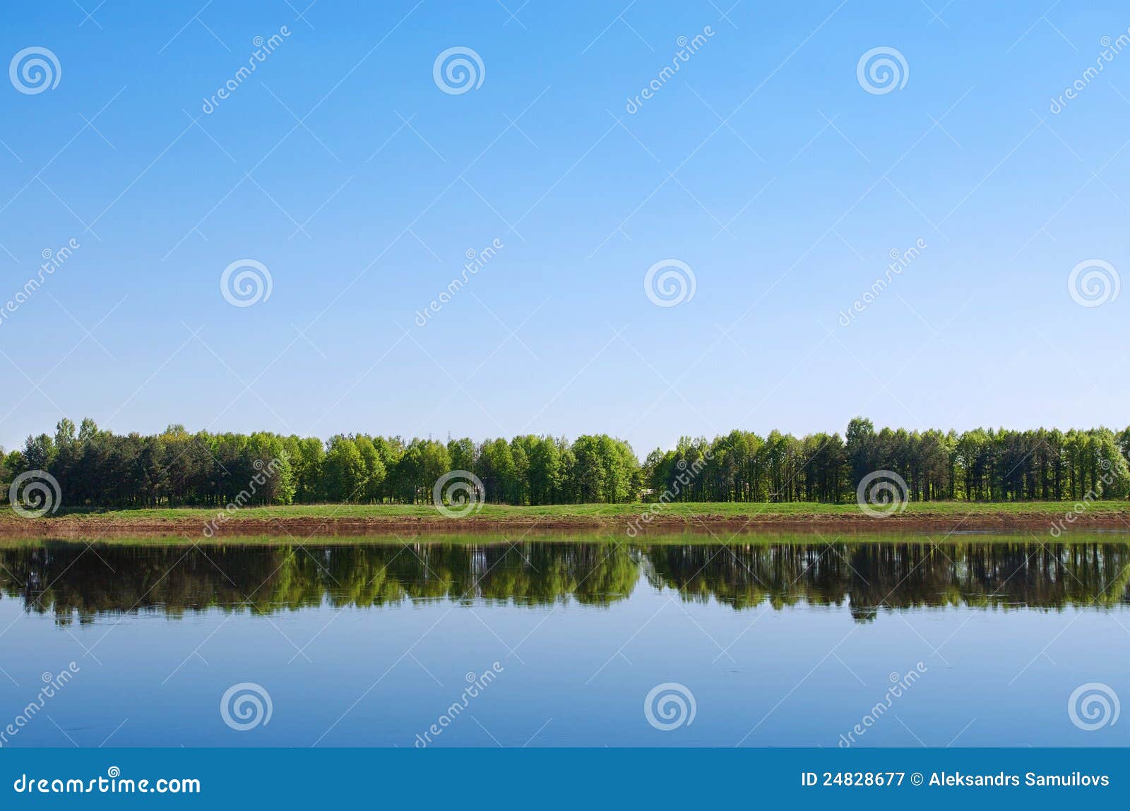 Reflection of the Forest in the River Stock Image - Image of ...