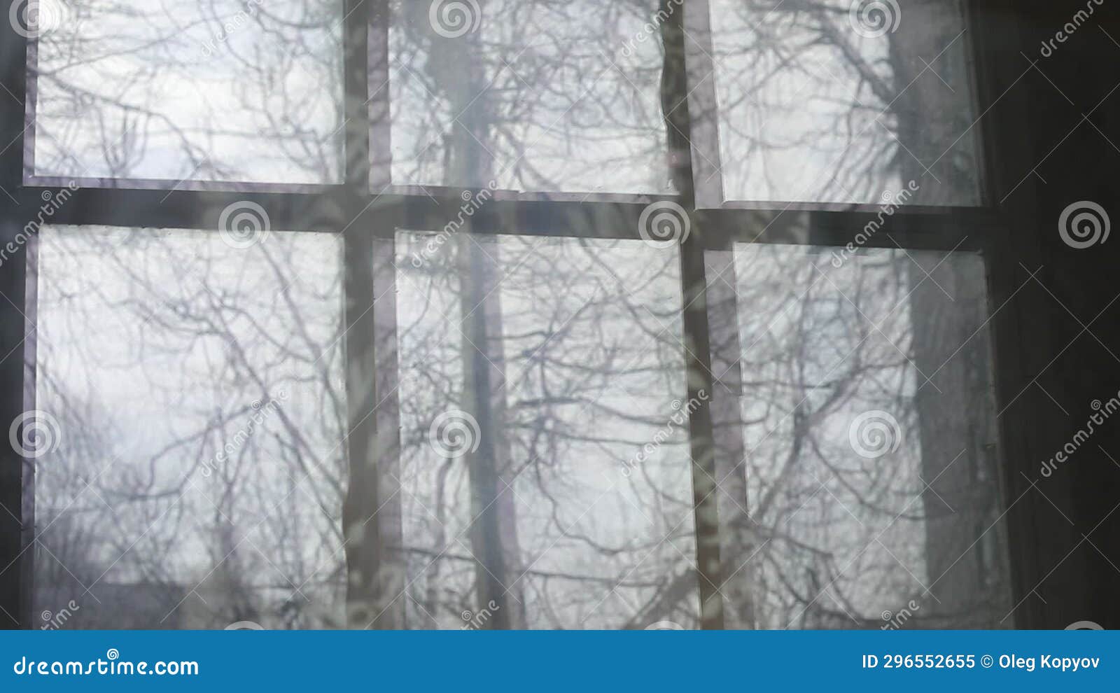 Reflection in the Glass. Trees are Reflected in the Window. Window ...