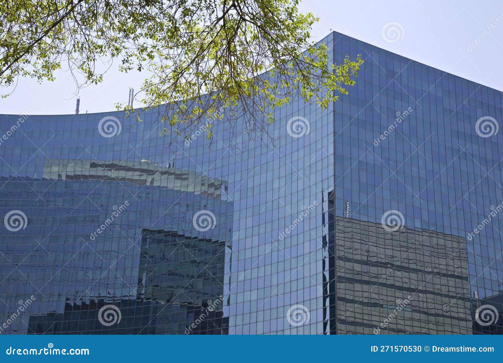 Reflection of the Glass Window Wall of a Modern Design Building in ...