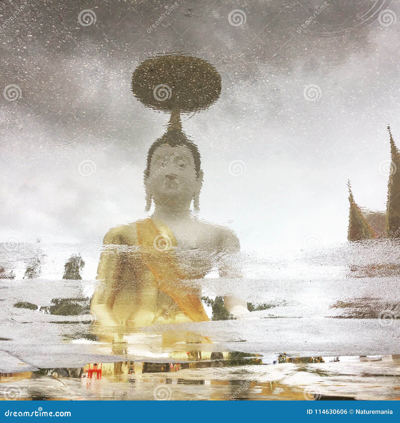 Reflection stock photo. Image of buddha, sacred, buddhism - 114630606