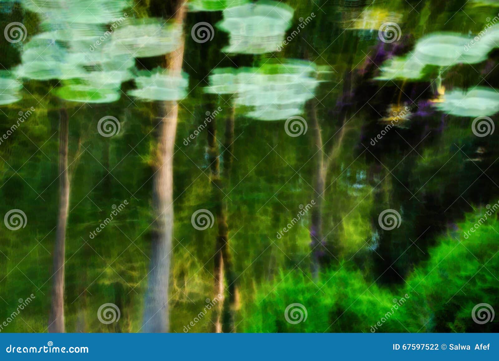 Reflection stock photo. Image of impression, movement - 67597522