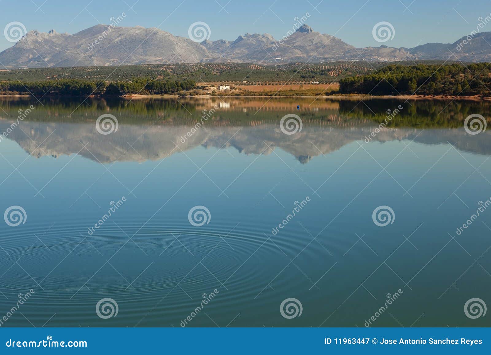 Reflection on the lake stock image. Image of environment - 11963447