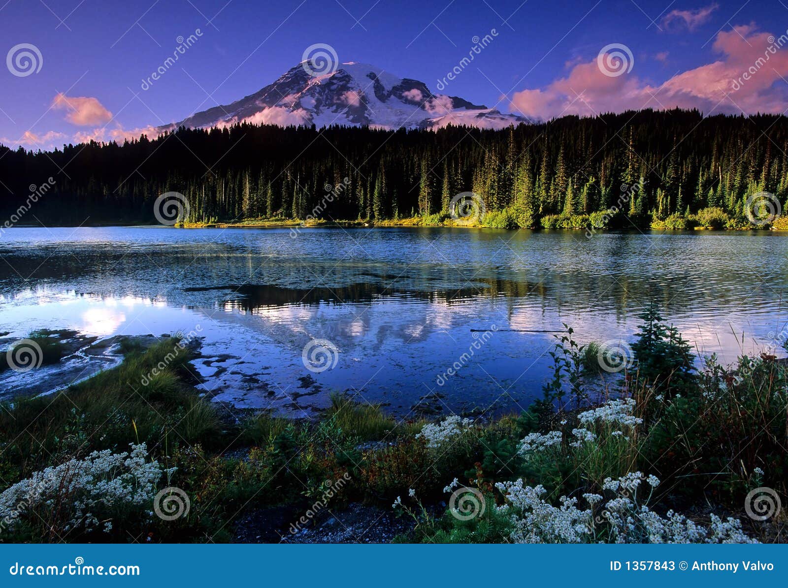 Reflection Lake stock image. Image of pacific, blue, clouds - 1357843
