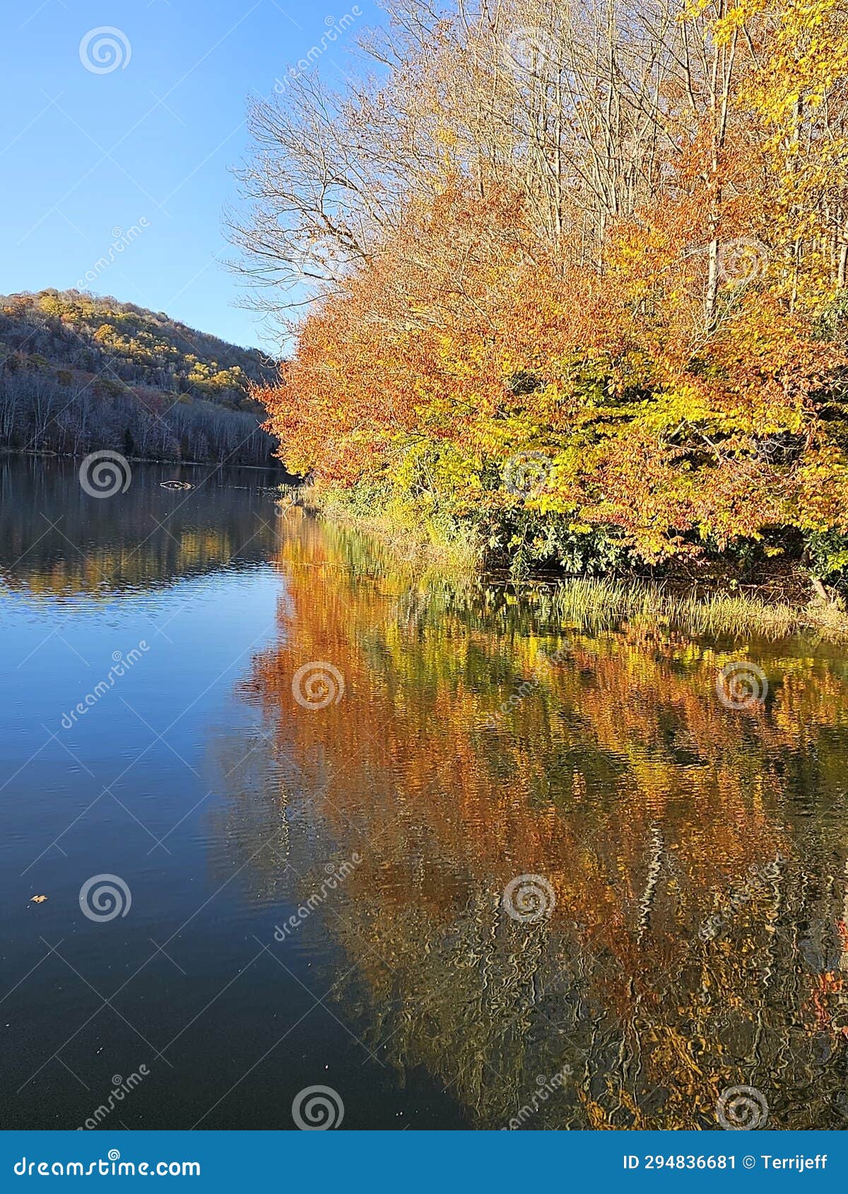Reflection of lake in fall stock image. Image of trees - 294836681