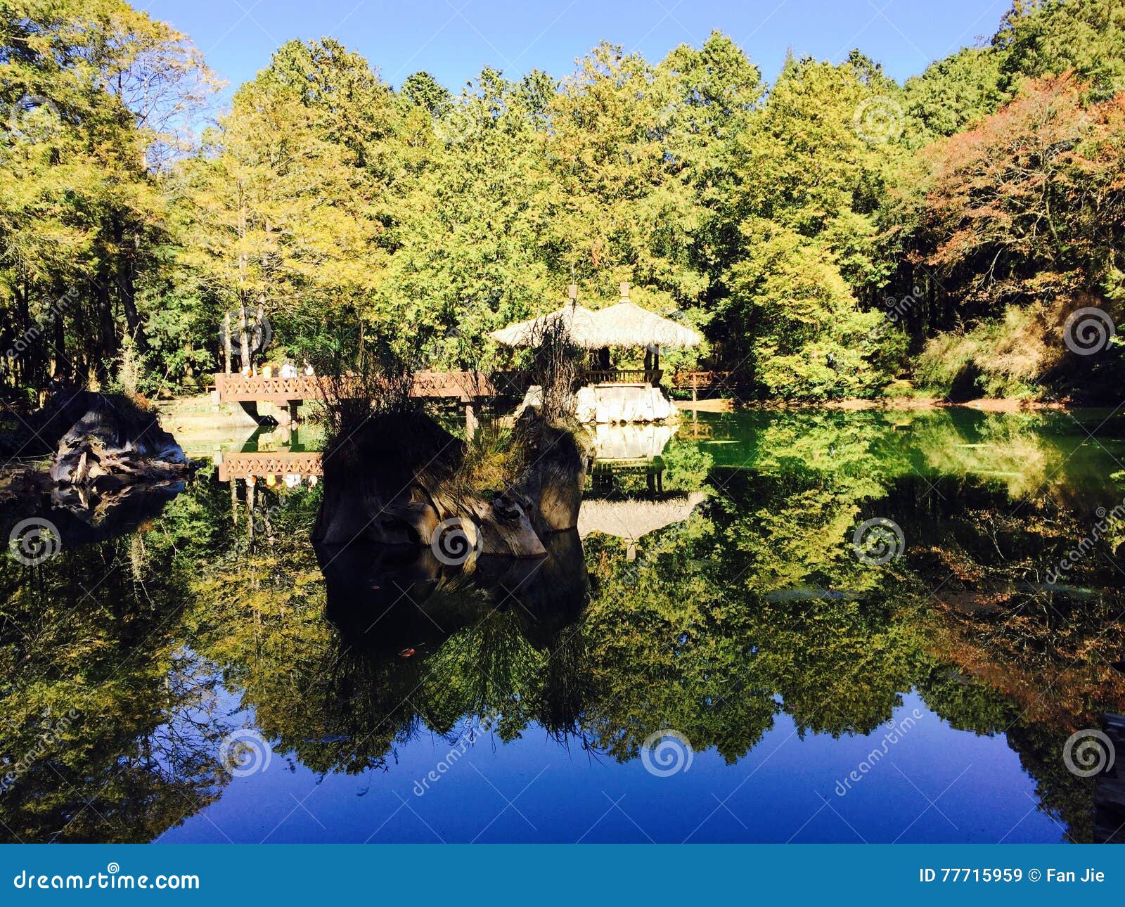 Reflection stock image. Image of reflection, like, lake - 77715959