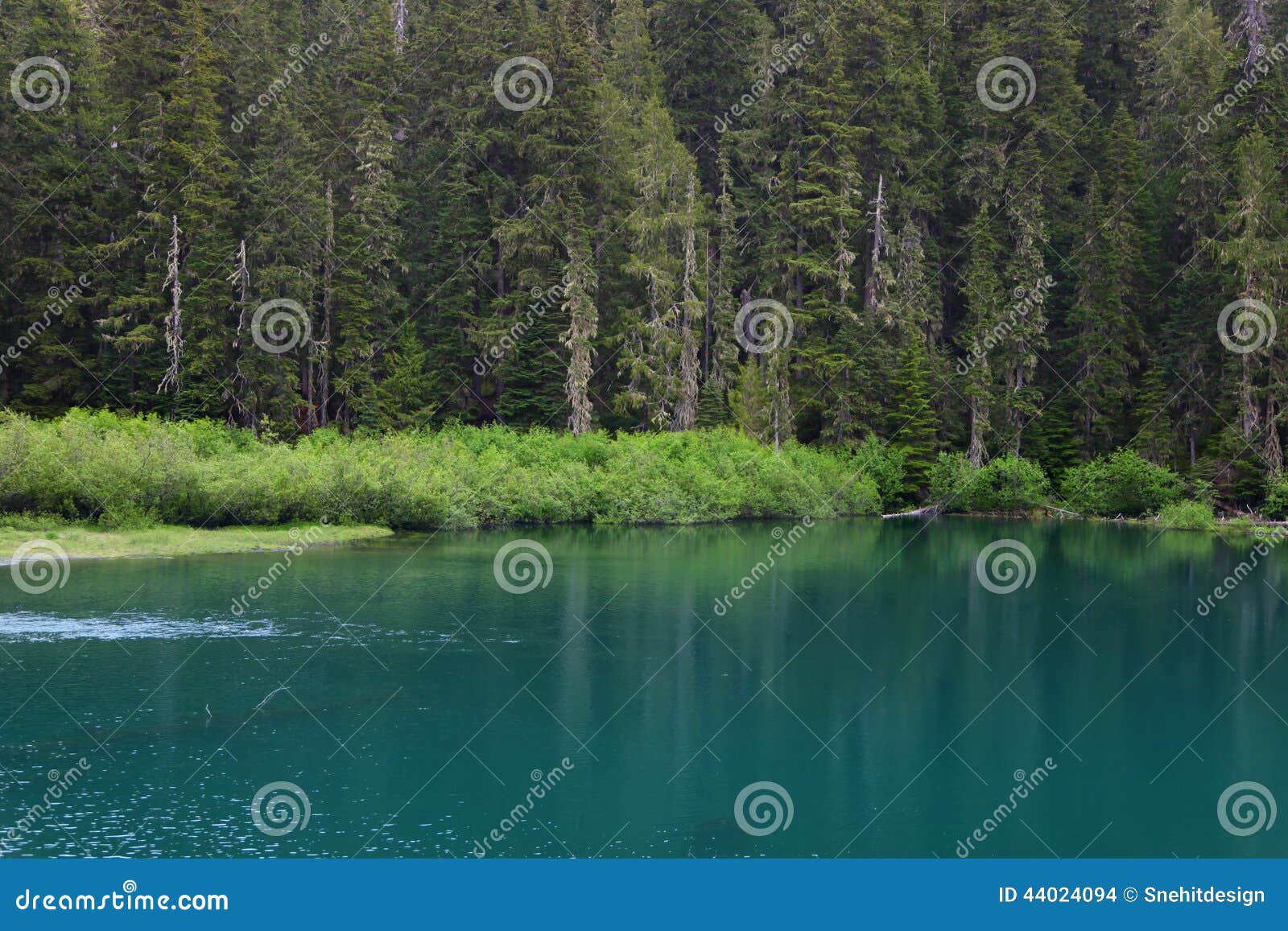 Reflection lake stock photo. Image of river, clear, outdoors - 44024094