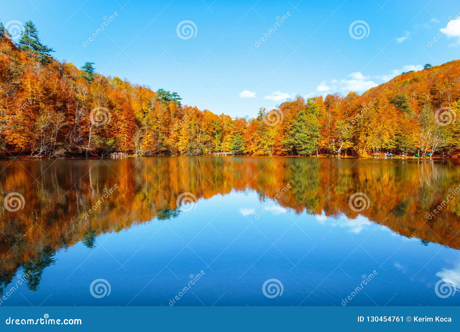 Reflection in the lake stock image. Image of natural - 130454761